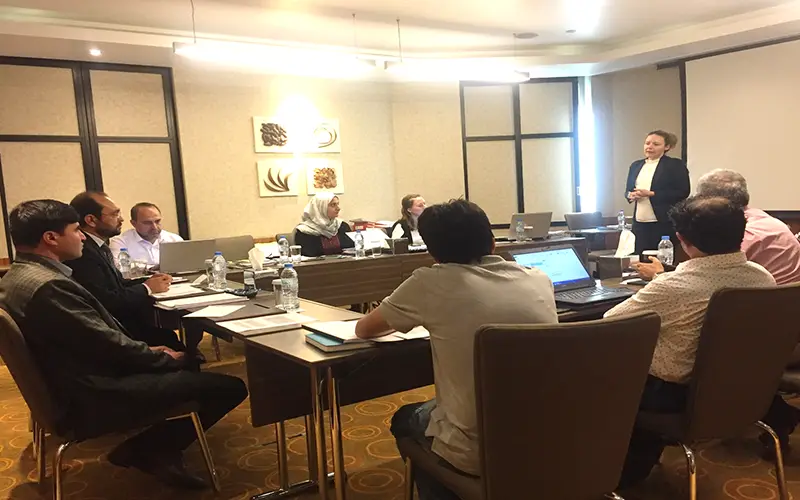 Institutional Development & Capacity Building - Emerging Leaders ...